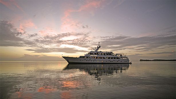 Another price drop on Golden Compass at Worth Avenue and OCI